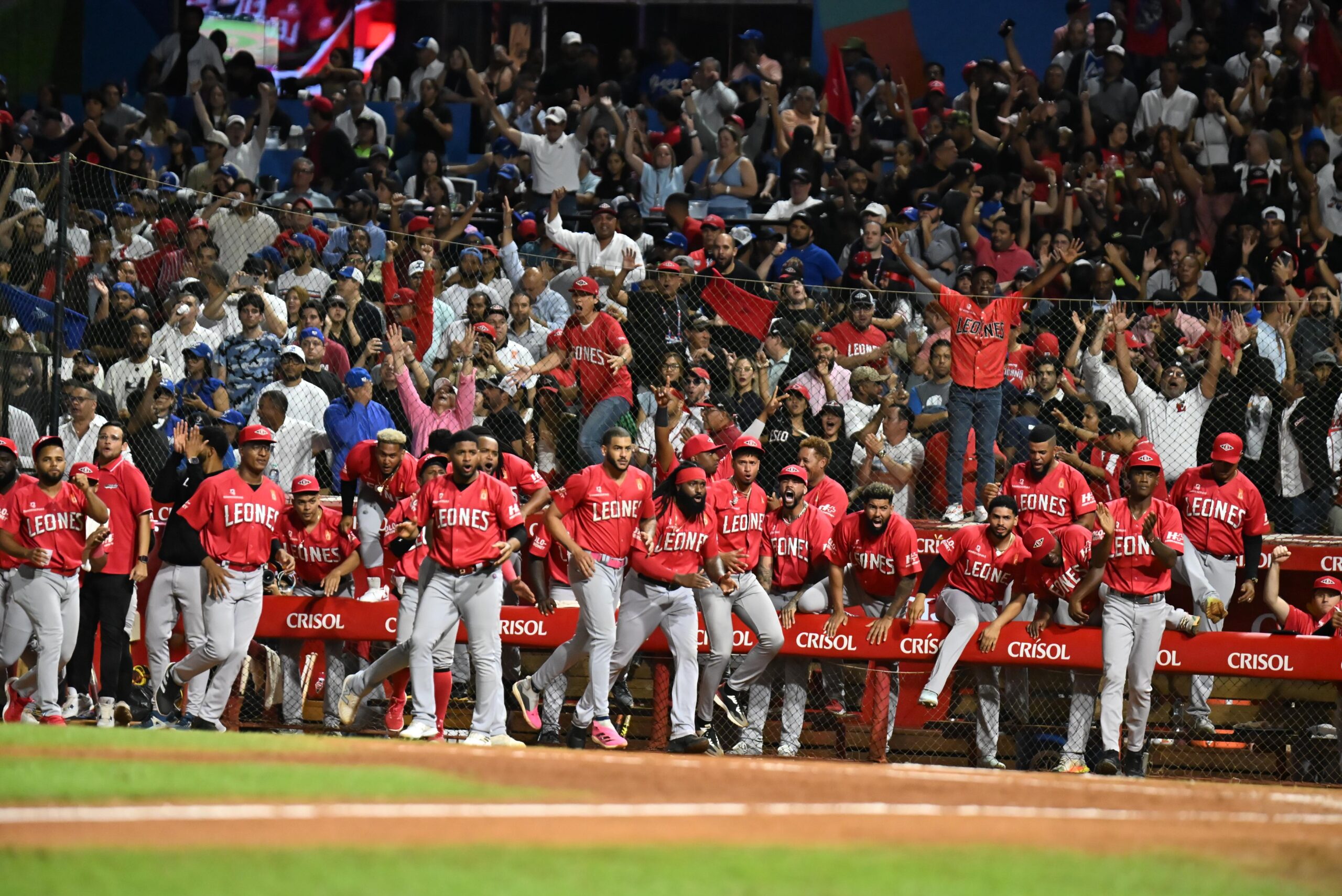 Leones del Escogido campeones 2024-25 | DeportivApp by Vic Báez